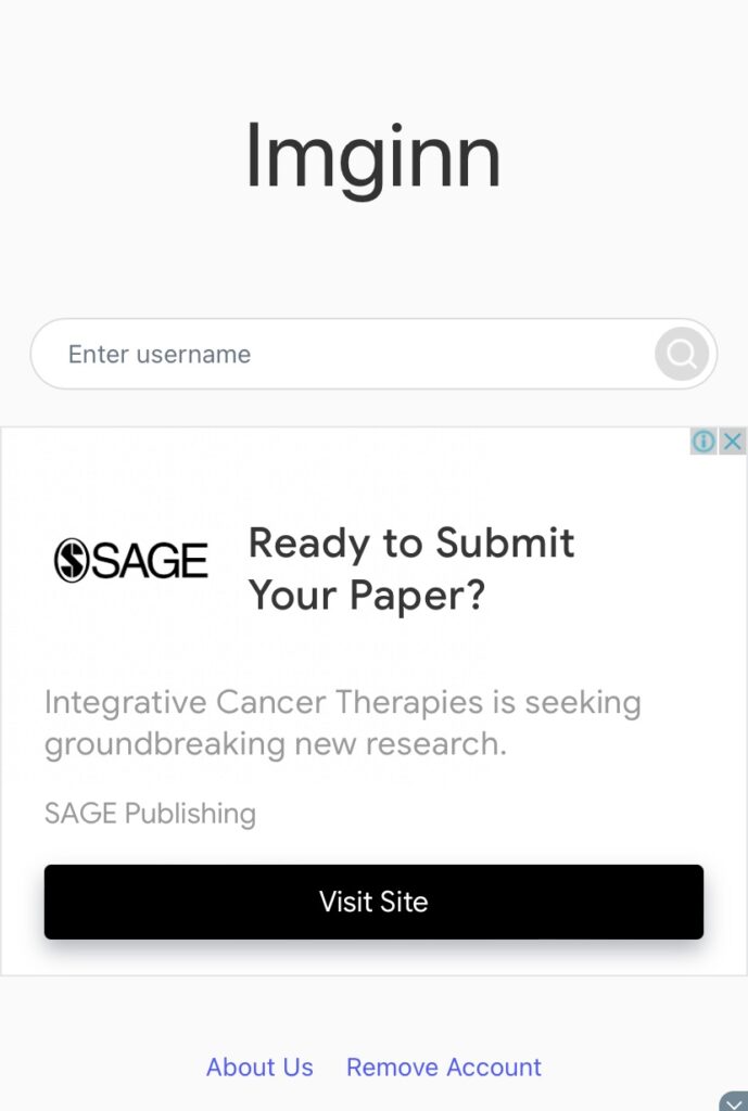 インスタグラムを見るだけの外部サイトおすすめ5選を詳しく解説！ | Canaa公式メディア